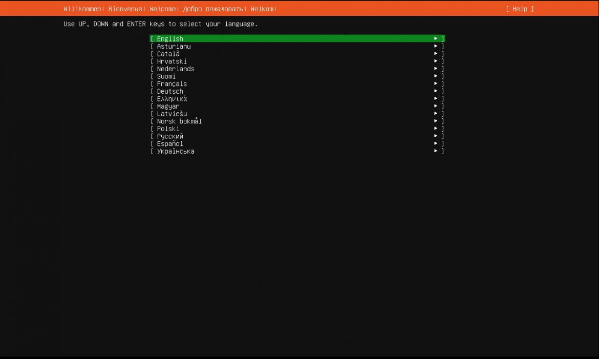 Ubuntu 20.04 LTS ‘Focal Fossa’ Server Installation Step by Step Guide : Linuxproguru.com
